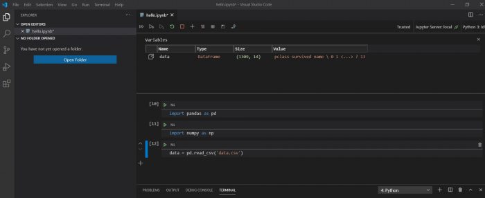 Cómo instalar Pandas en Visual Studio Code