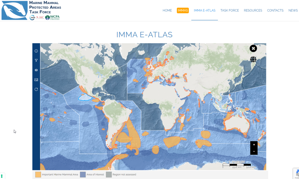 Qué son las “Important Marine Mammal Areas”(IMMAs) y cómo visualizarlas ...