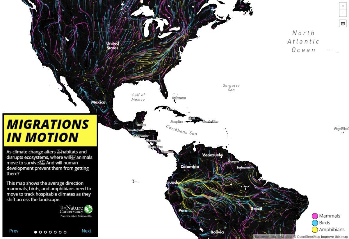 Librerías de Python para trabajar con datos espaciales | Cursos GIS