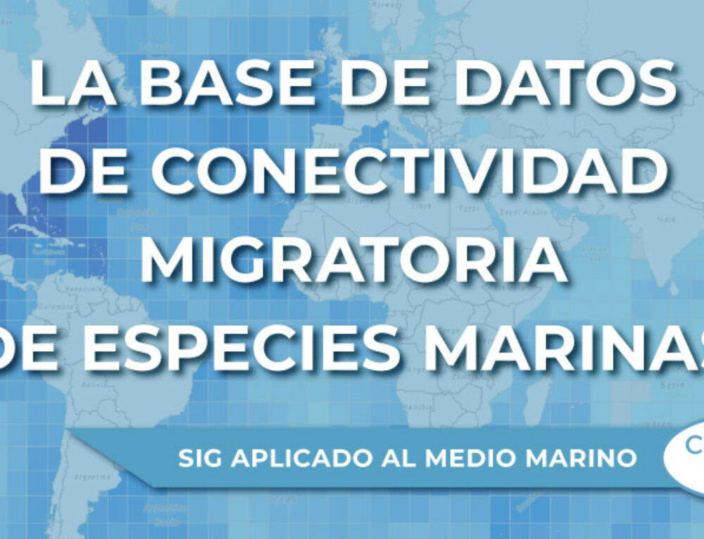 Control de la codificación de caracteres en QGIS
