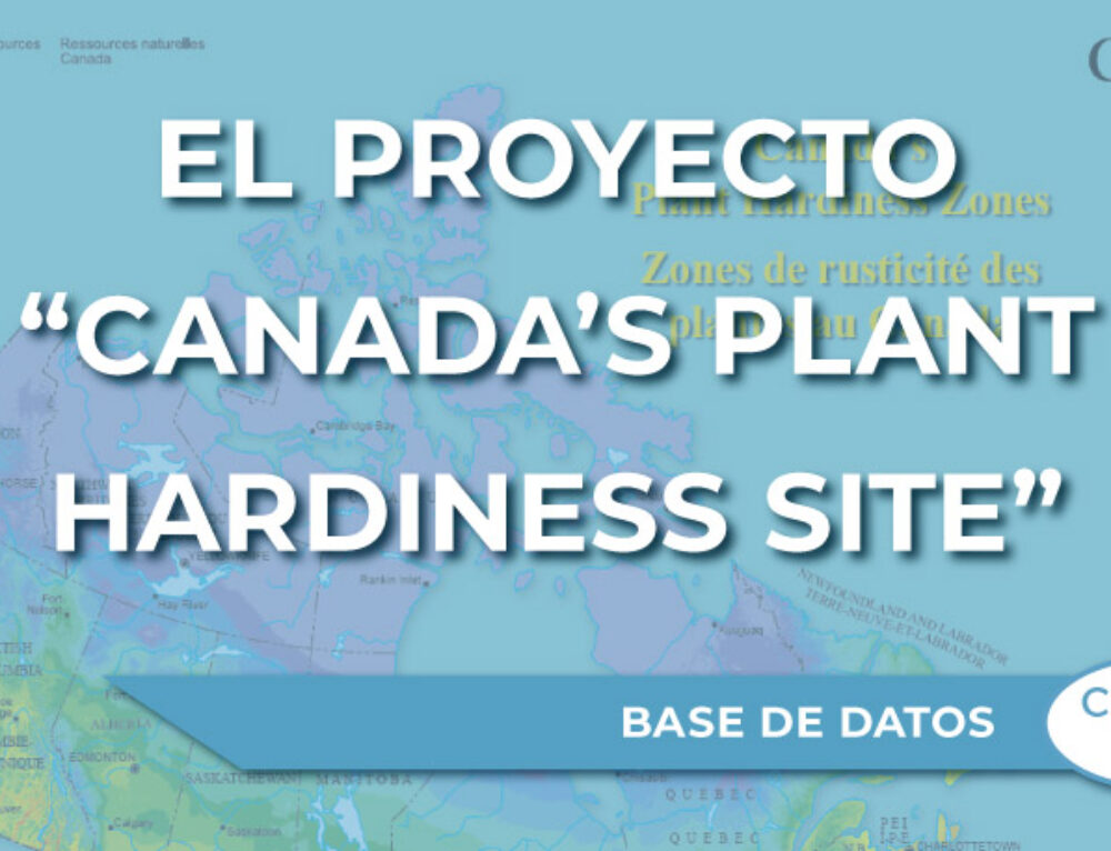 Control de la codificación de caracteres en QGIS